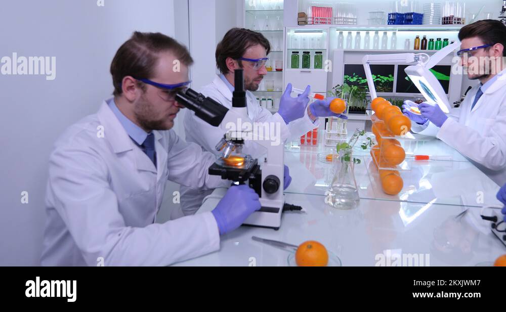 Microscope botany Stock Videos & Footage - HD and 4K Video Clips - Alamy