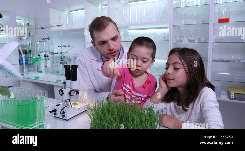 Children plants microscope Stock Videos & Footage - HD and 4K Video ...