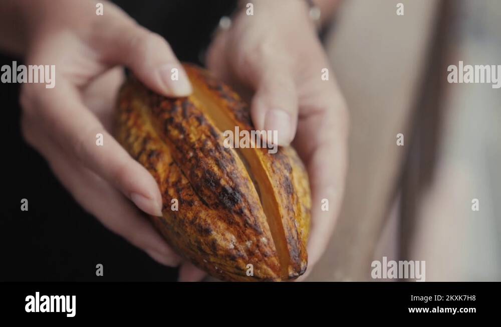 Pod fruit closeup Stock Videos & Footage - HD and 4K Video Clips - Alamy