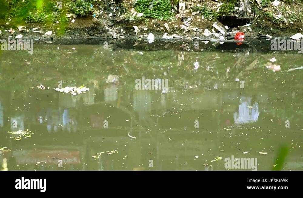 Polluted watercourse Stock Videos & Footage - HD and 4K Video Clips - Alamy