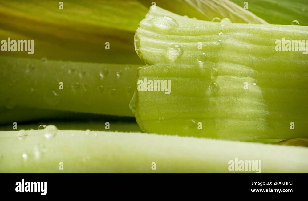 Plant stem texture Stock Videos & Footage - HD and 4K Video Clips - Alamy