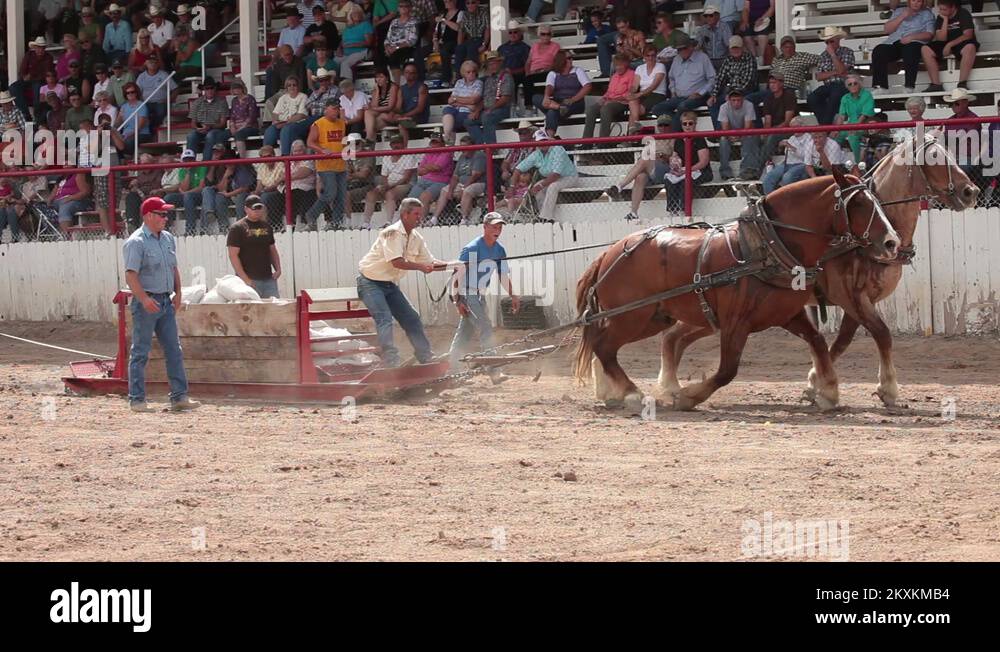 Competition pull pulling Stock Videos & Footage - HD and 4K Video Clips ...