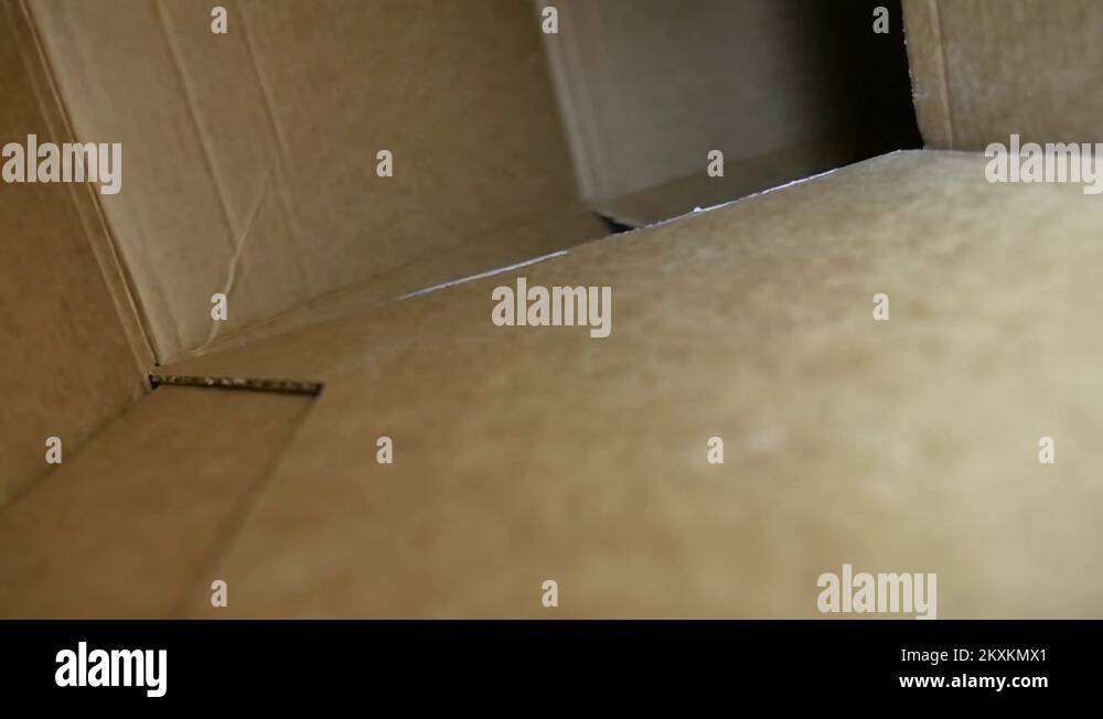 girl teenager opens cardboard box parcel. girl receives parcel gift ...