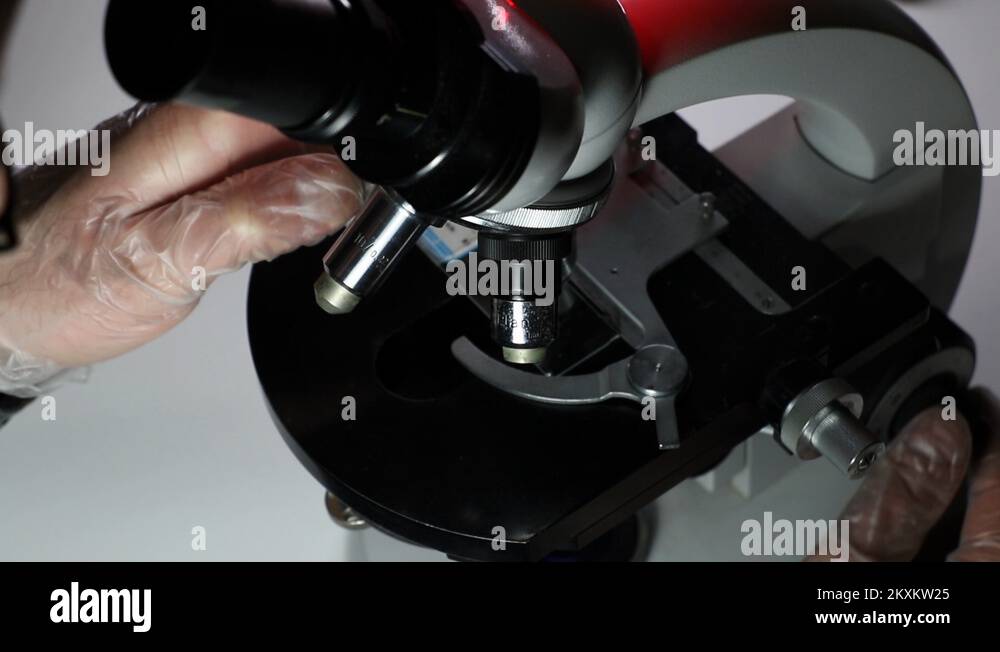 Science under microscope Stock Videos & Footage - HD and 4K Video Clips ...