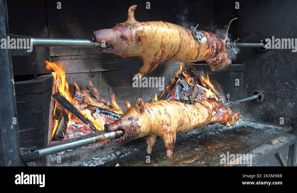 Grilling pigs (pork) slowly on spit in traditional way in Bosnia and ...