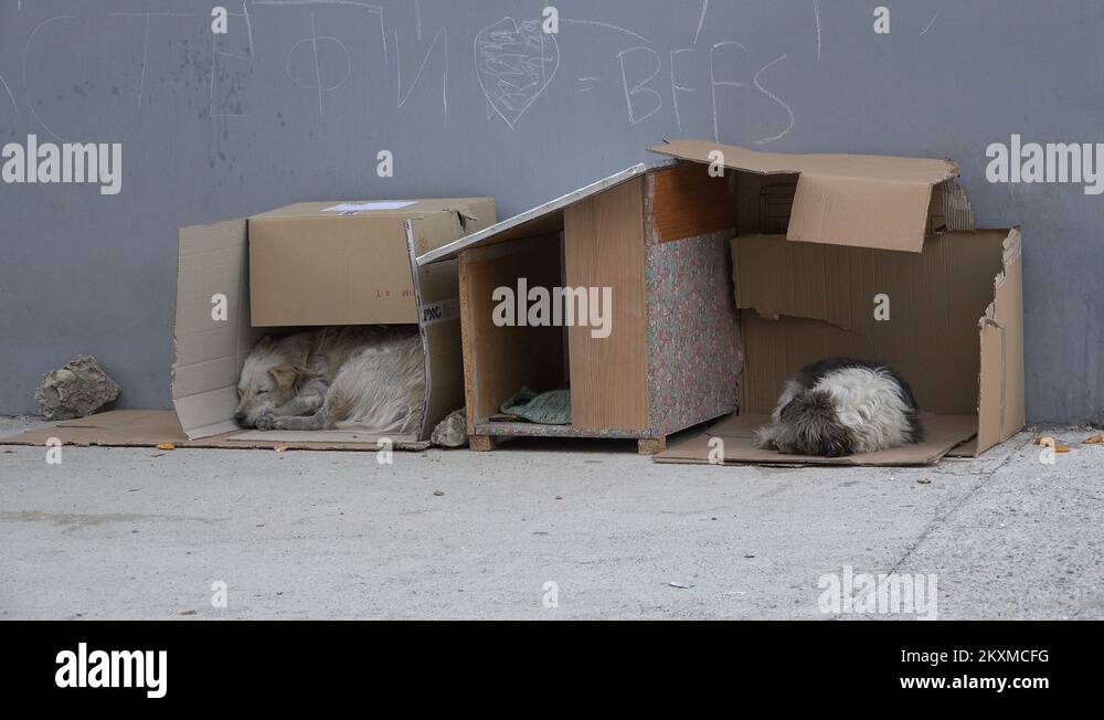 Homeless shelter shelters Stock Videos & Footage - HD and 4K Video ...