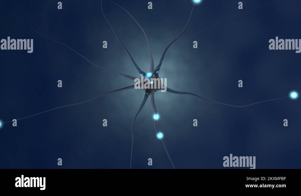 Neural connectivity Stock Videos & Footage - HD and 4K Video Clips - Alamy