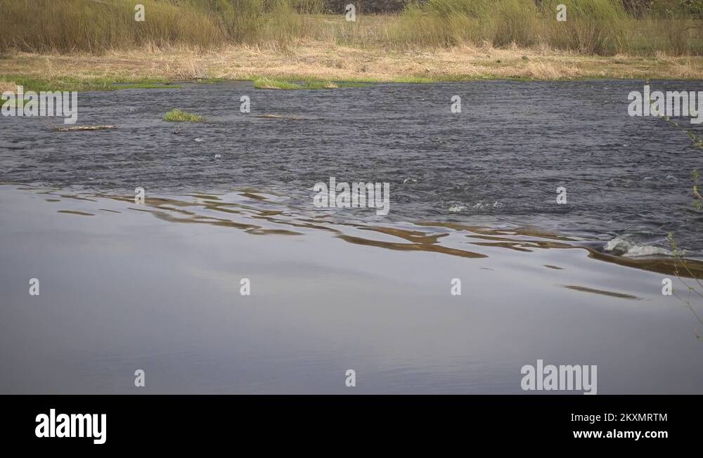 Riffle on river stream at spring, 4K ultra hd video footage Stock Video ...