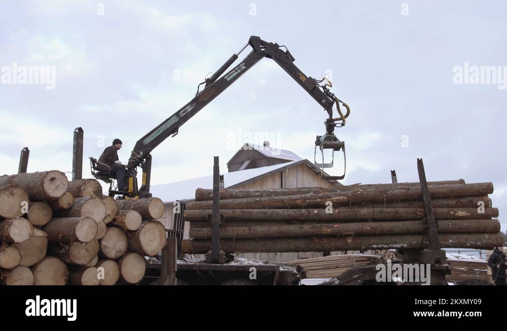 Mechanical claw loader unloads timber logs from heavy truck at sawmill ...