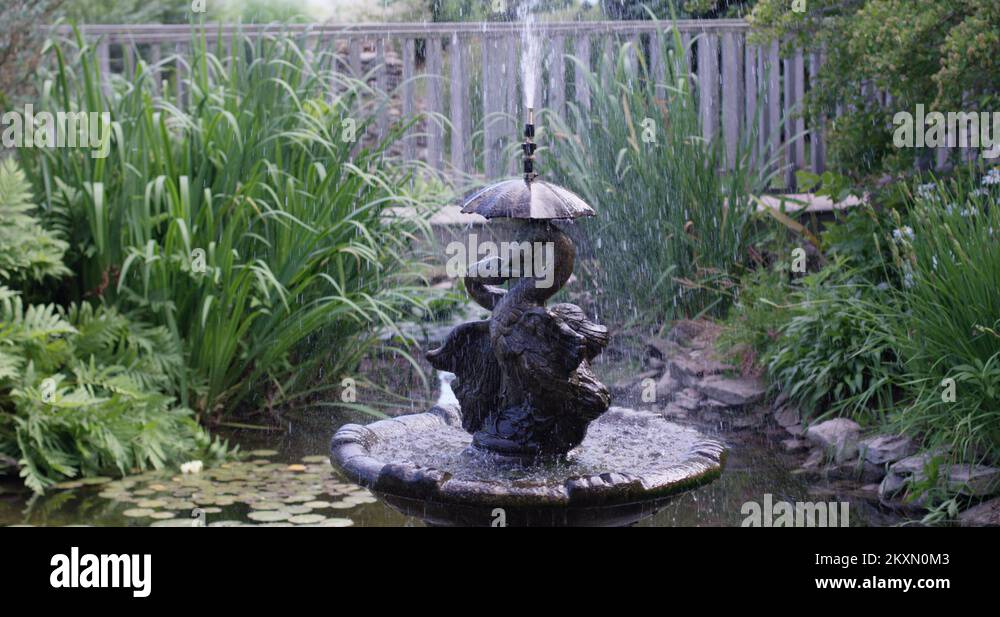 Swan water fountain Stock Videos & Footage - HD and 4K Video Clips - Alamy