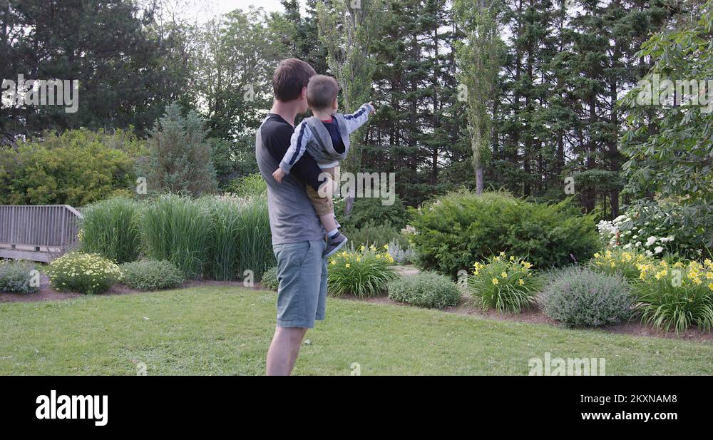 Pointing to bird Stock Videos & Footage - HD and 4K Video Clips - Alamy