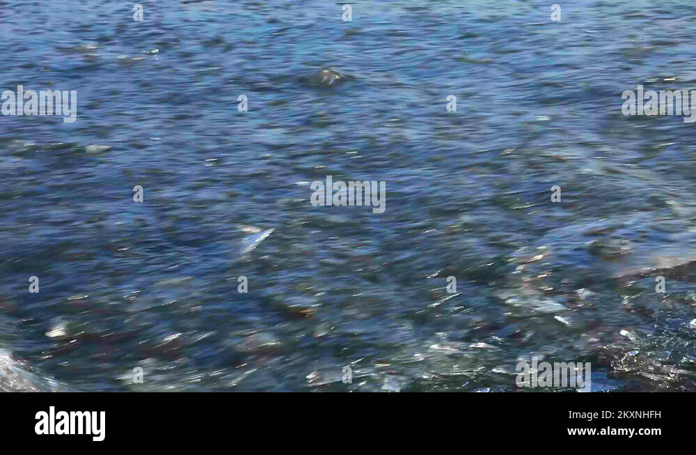 Ice wave Stock Videos & Footage - HD and 4K Video Clips - Alamy