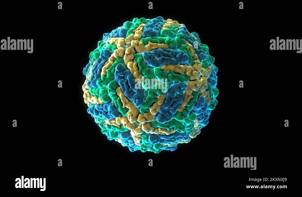 Dengue Stock Videos & Footage - HD and 4K Video Clips - Alamy