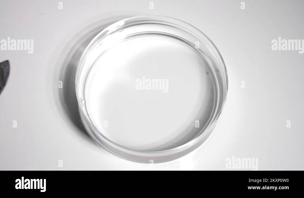 Lithium and water Stock Videos & Footage - HD and 4K Video Clips - Alamy