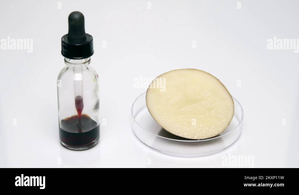 To starch Stock Videos & Footage - HD and 4K Video Clips - Alamy