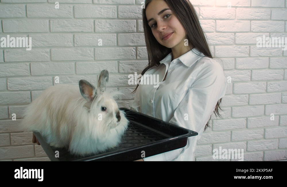 Rabbitintheoven Stock Videos & Footage - HD and 4K Video Clips - Alamy