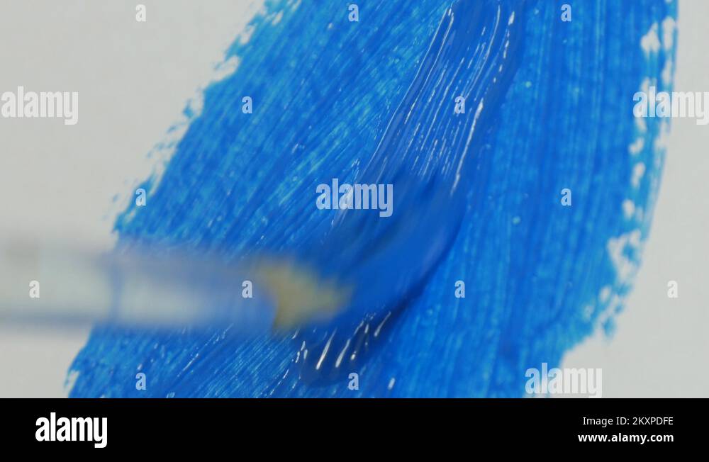 Intense color palette Stock Videos & Footage - HD and 4K Video Clips ...