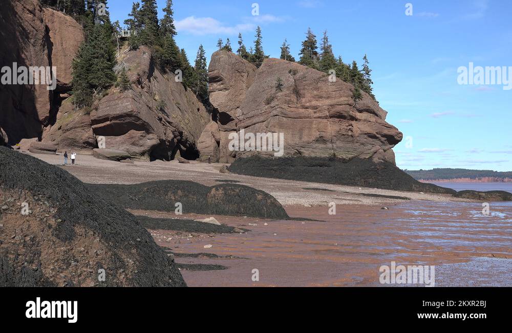 Fundy low tide Stock Videos & Footage - HD and 4K Video Clips - Alamy