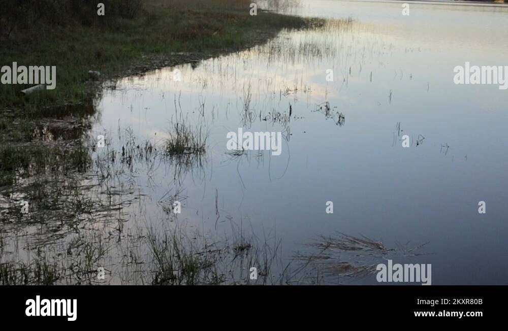 Water in Stock Videos & Footage - HD and 4K Video Clips - Alamy