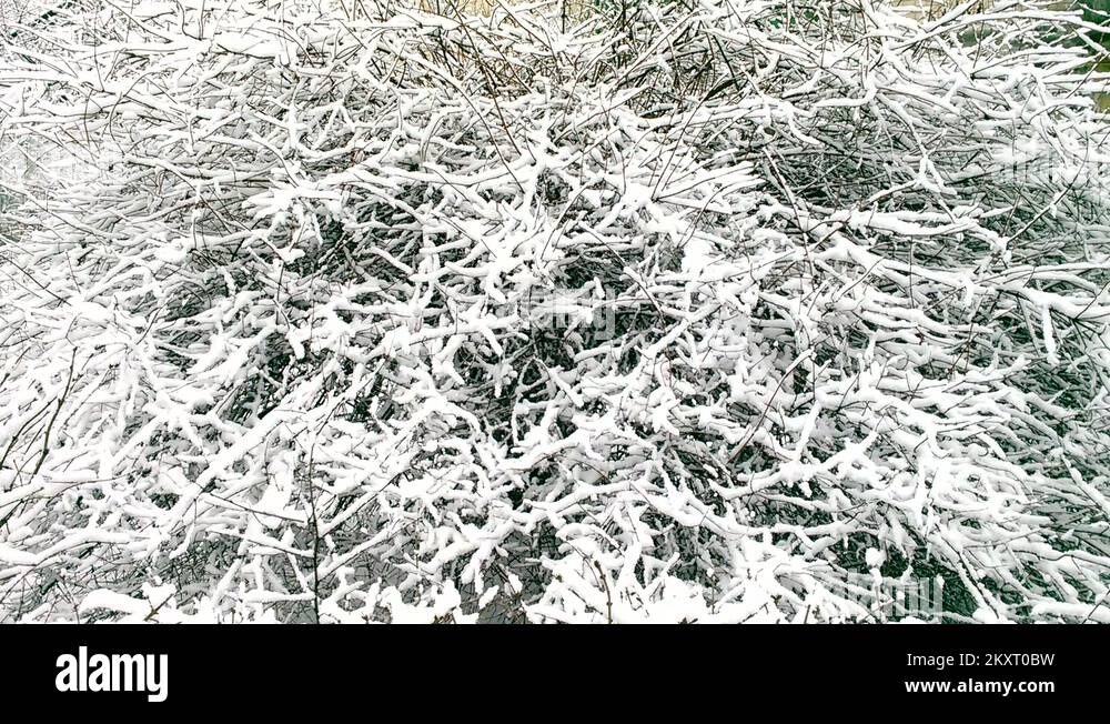 Invisible crowd Stock Videos & Footage - HD and 4K Video Clips - Alamy