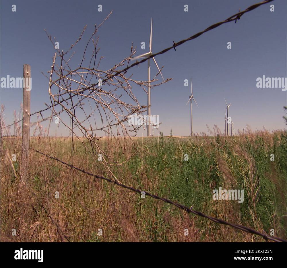 Field through barbed wire Stock Videos & Footage - HD and 4K Video ...