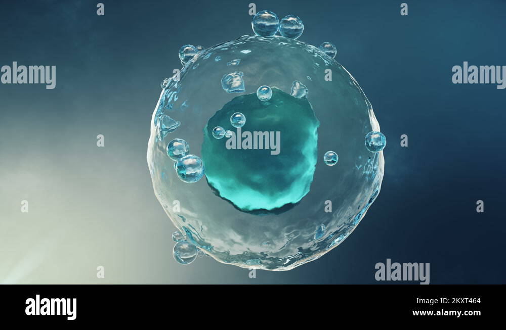 Laboratory for anatomy and embryology Stock Videos & Footage - HD and ...