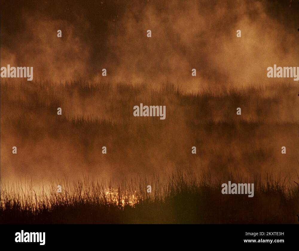 Mist land Stock Videos & Footage - HD and 4K Video Clips - Alamy