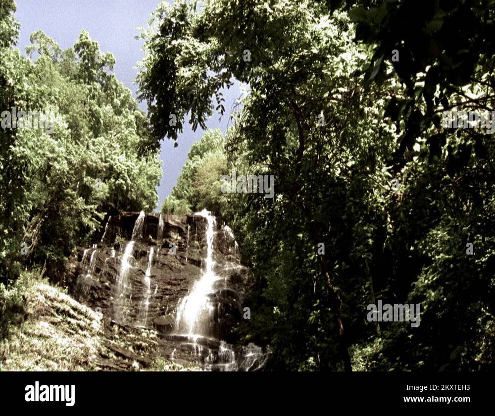 Water rock trees Stock Videos & Footage - HD and 4K Video Clips - Alamy