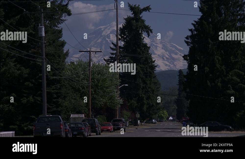 Pine poles Stock Videos & Footage - HD and 4K Video Clips - Alamy