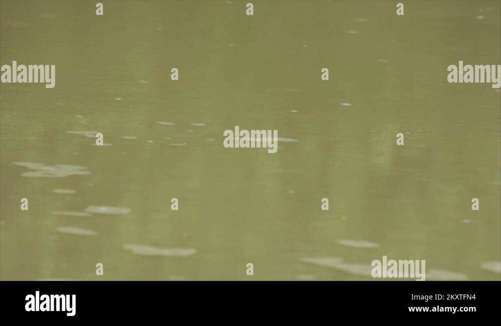 Rain falling into puddle Stock Videos & Footage - HD and 4K Video Clips ...