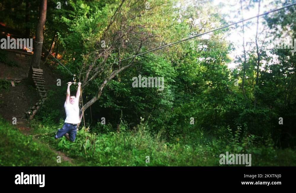 Young flying fox Stock Videos & Footage - HD and 4K Video Clips - Alamy