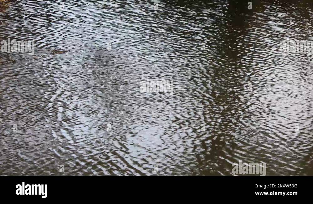 Water Stock Videos & Footage - HD and 4K Video Clips - Alamy