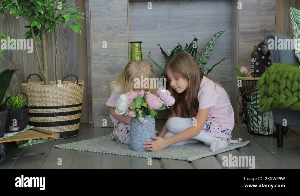 Plants two Stock Videos & Footage - HD and 4K Video Clips - Alamy