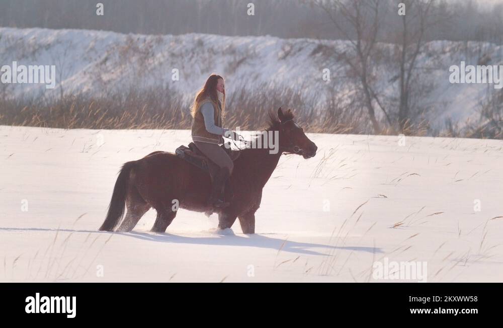 Black horse in frozen Stock Videos & Footage - HD and 4K Video Clips ...