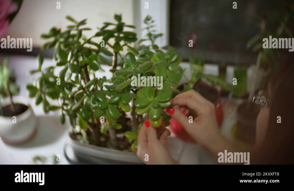 Mom and daughter take care of flowers. Cute little girl with mother ...