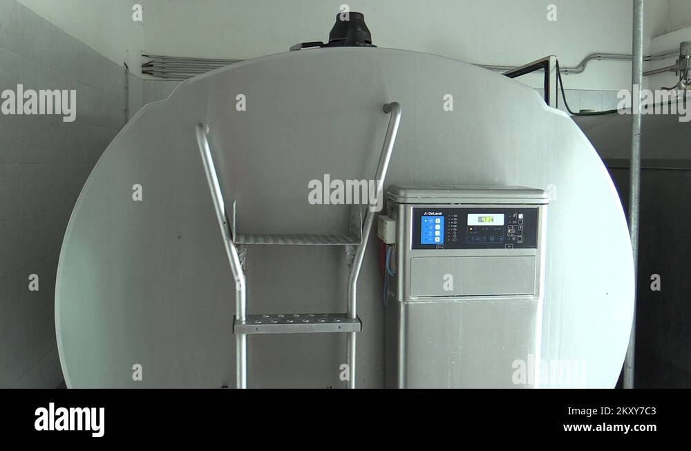 Reservoir milk tank cistern after milking cow, cowshed directly in cow ...