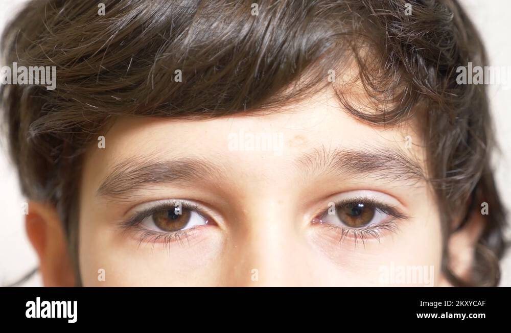 The brown eyes of a boy with long black eyelashes. he looks from under ...