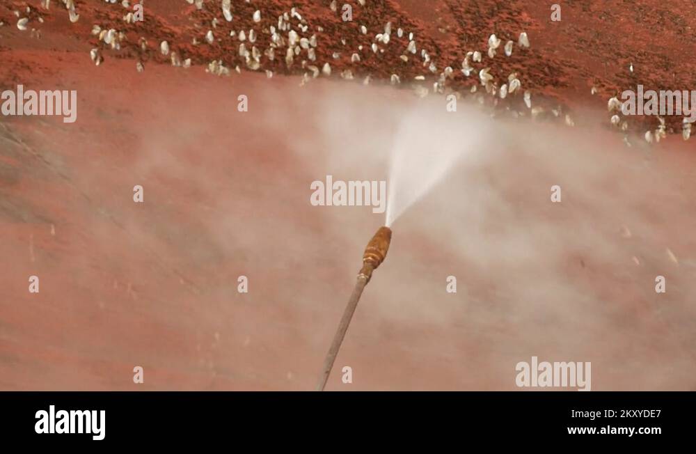 A jet of water washes the build-up out of the shells from the hull of ...