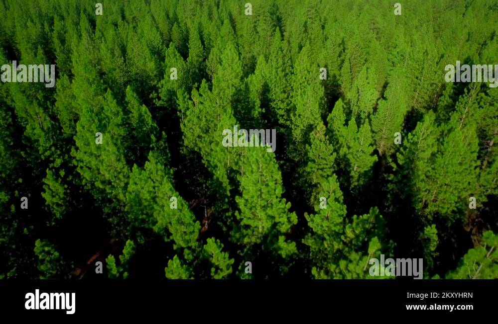 Blue mountains oregon Stock Videos & Footage - HD and 4K Video Clips ...