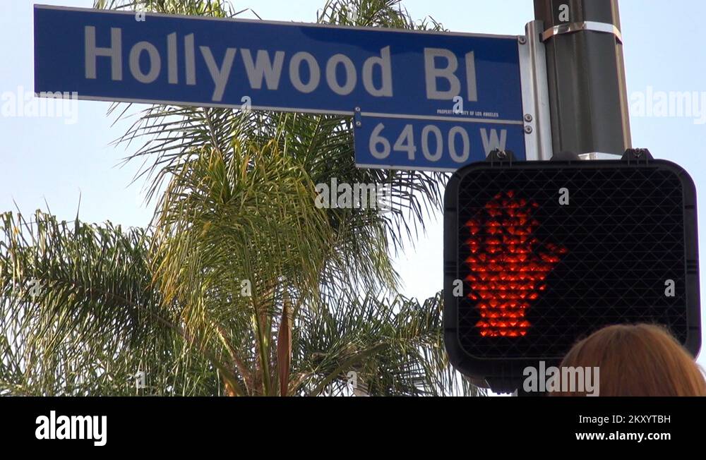 Los angeles hollywood sign people Stock Videos & Footage - HD and 4K ...