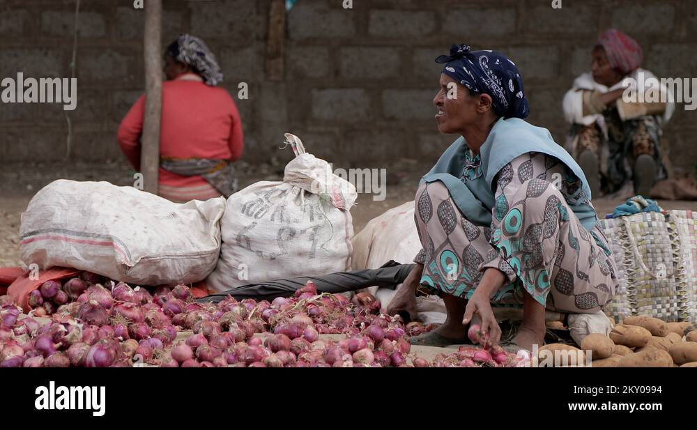 Somali Region of Ethiopia Butajira village rural community Stock Video ...