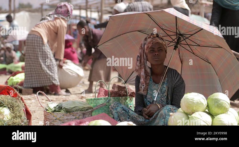 Somali Region of Ethiopia Butajira village rural community Stock Video ...