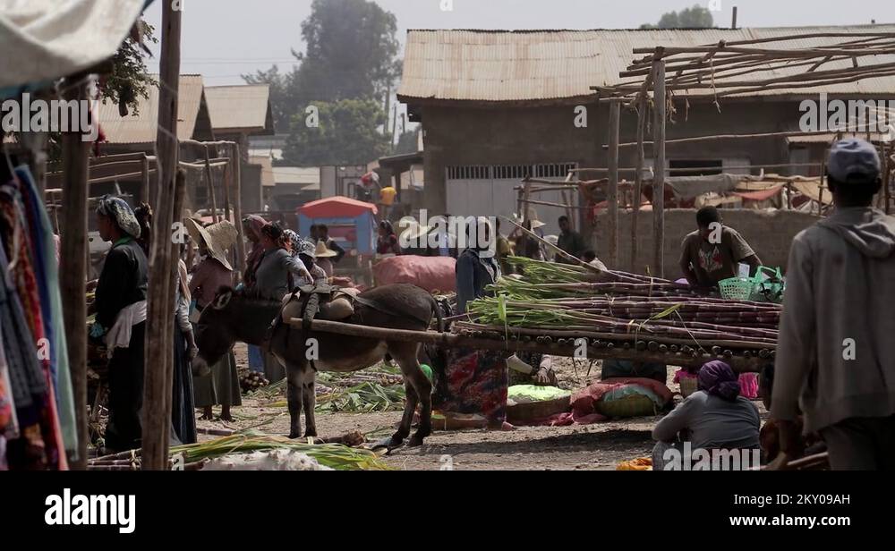 Somali Region of Ethiopia Butajira village rural community Stock Video ...