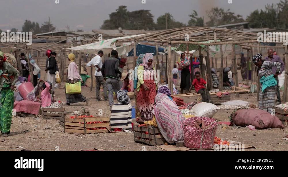 Somali Region of Ethiopia Butajira village rural community Stock Video ...