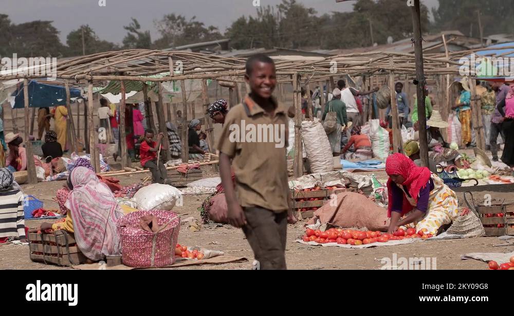 Somali Region of Ethiopia Butajira village rural community Stock Video ...