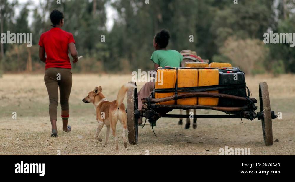 Somali Region of Ethiopia poor village In the desert Stock Video ...
