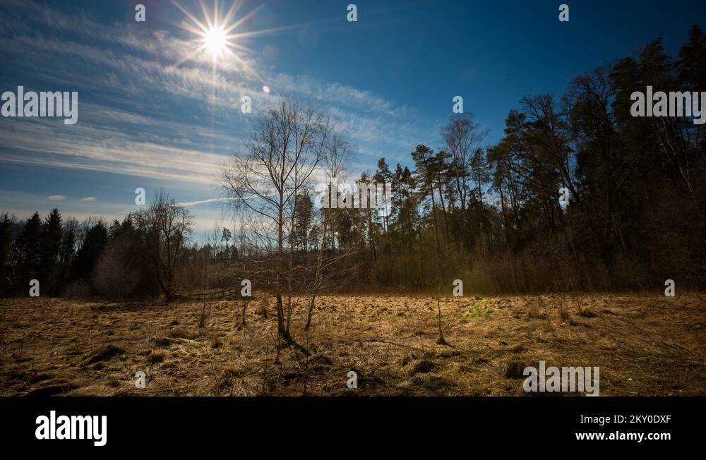 Sun withered Stock Videos & Footage - HD and 4K Video Clips - Alamy