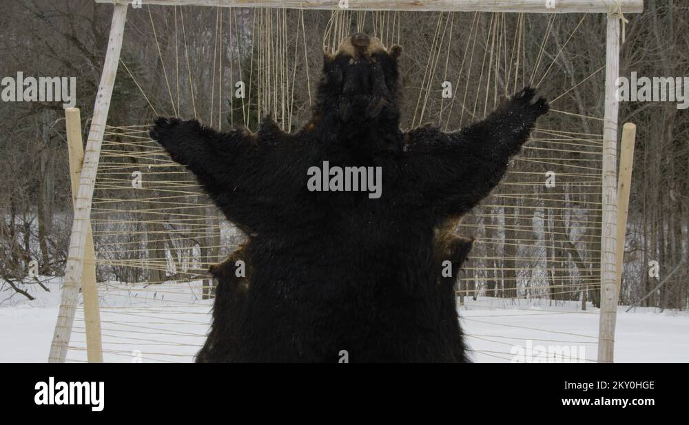 Aboriginal canadian Stock Videos & Footage - HD and 4K Video Clips - Alamy