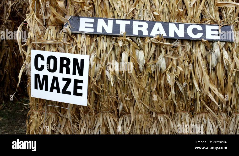 Maze entrance sign Stock Videos & Footage - HD and 4K Video Clips - Alamy