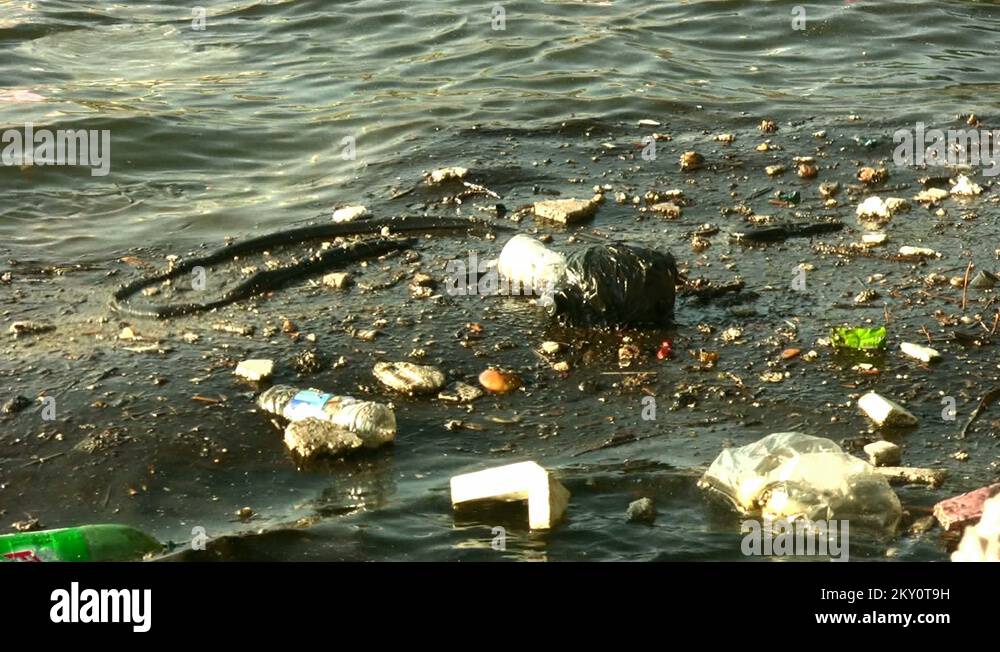 Water Pollution Full HD 1080p Stock Video Footage - Alamy